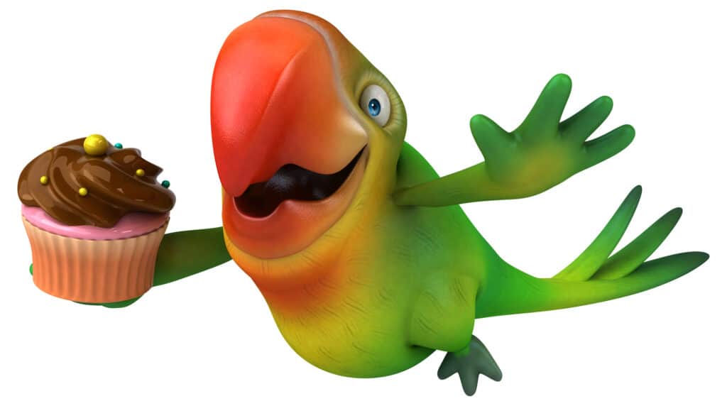 Can Parrots Eat Chocolate? Beware! – Talkie Parrot