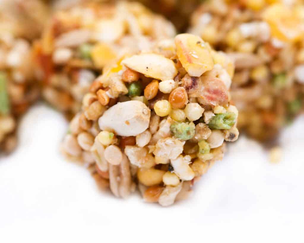 4 Best Parrot Pellets You Need to Try in 2021! - Talkie Parrot