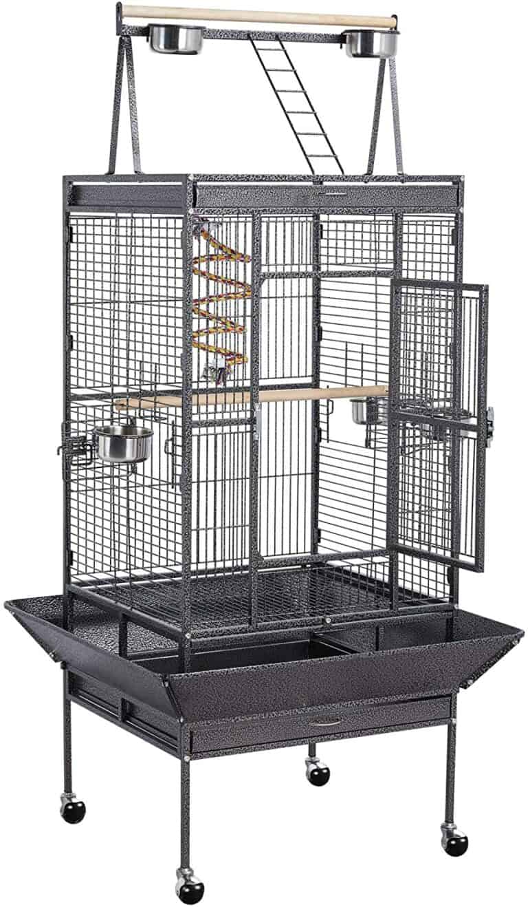 What Are the Best Parrot Cages? Learn How to Choose One!