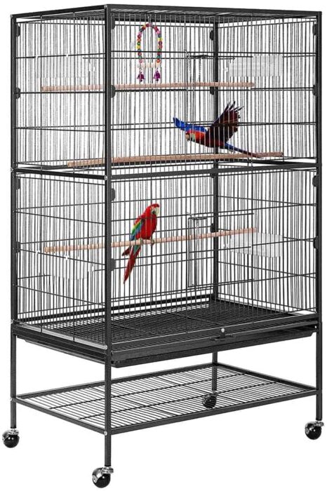 What Are the Best Parrot Cages? Learn How to Choose One!