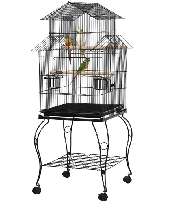 What Are the Best Parrot Cages? Learn How to Choose One!