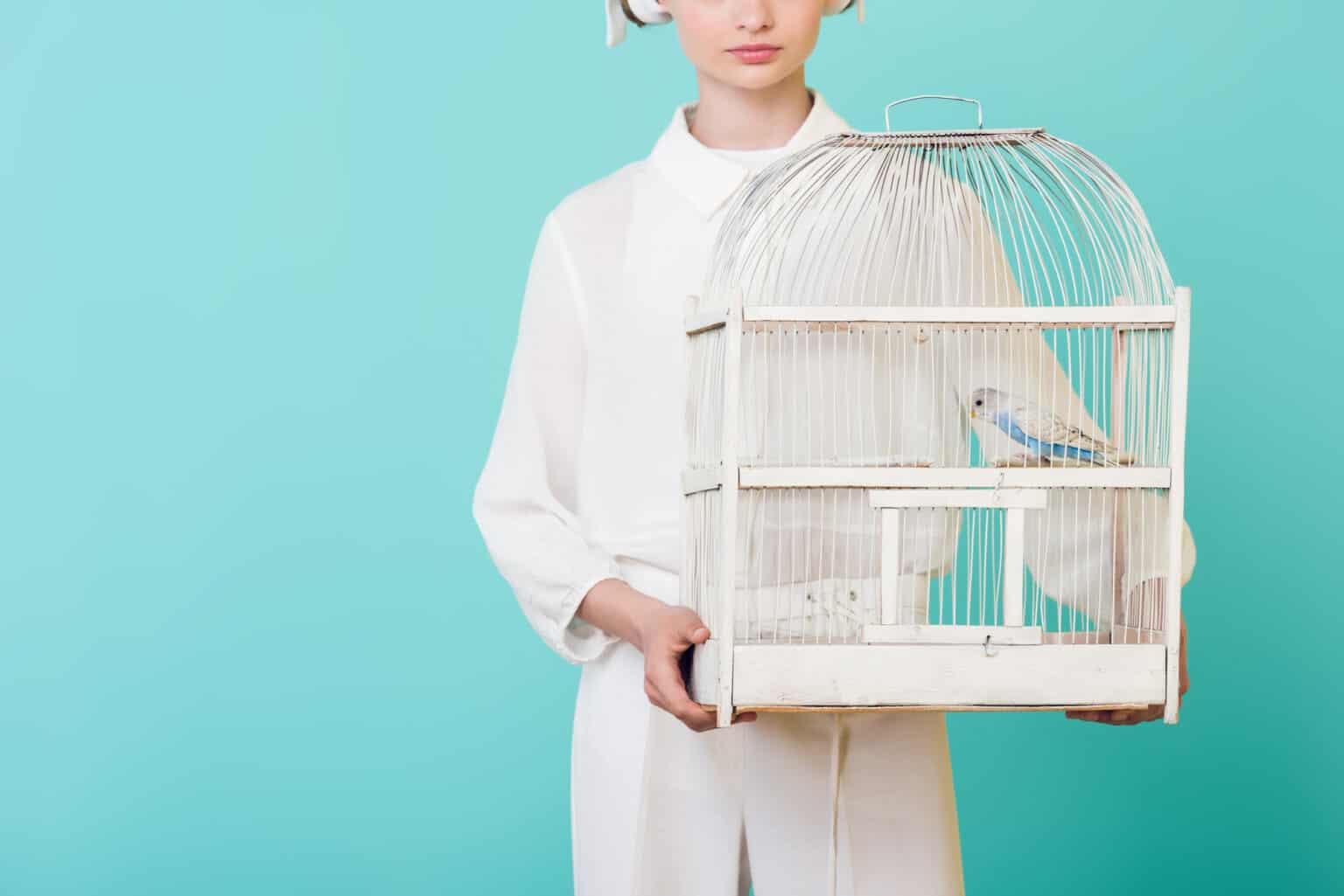 What Are the Best Parrot Cages? Learn How to Choose One!