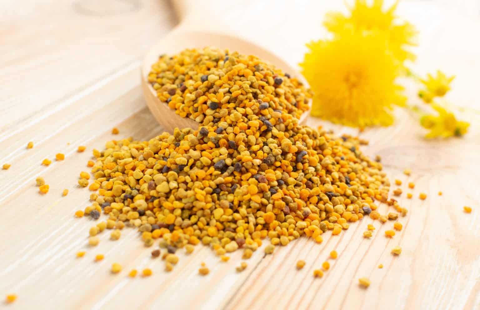 Can Parrots Eat Bee Pollen? All You Need to Know About Bee Pollen ...
